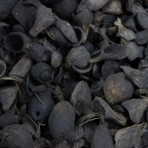 ผู้จำหน่ายและจัดส่งเชื้อเพลิงชีวมวล - เอเชีย ไบโอแมส จำกัด (มหาชน)