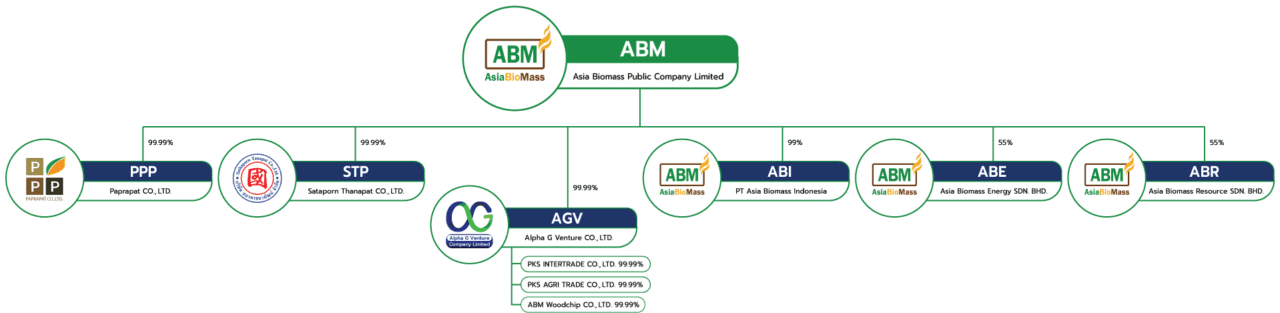 The Structure of Shareholding - ABM